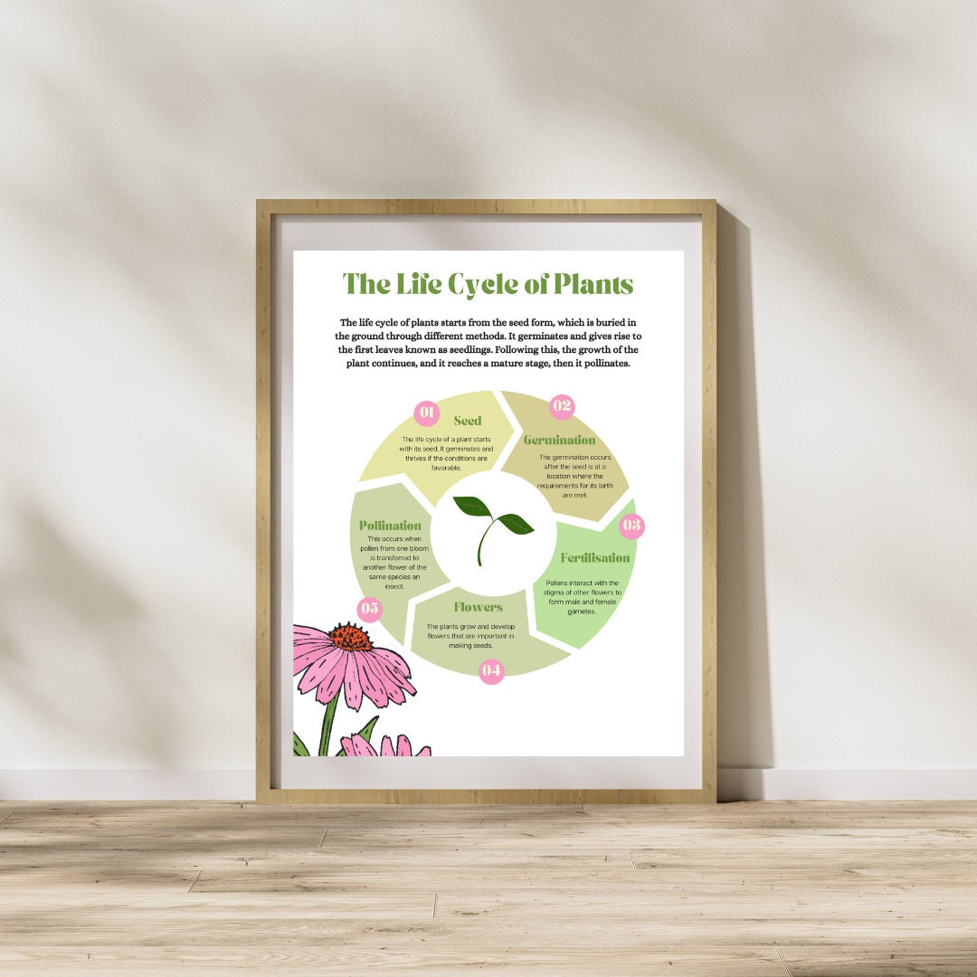 Plant Life Cycle Poster,educational Print, Biology Posterprintable Wall ...