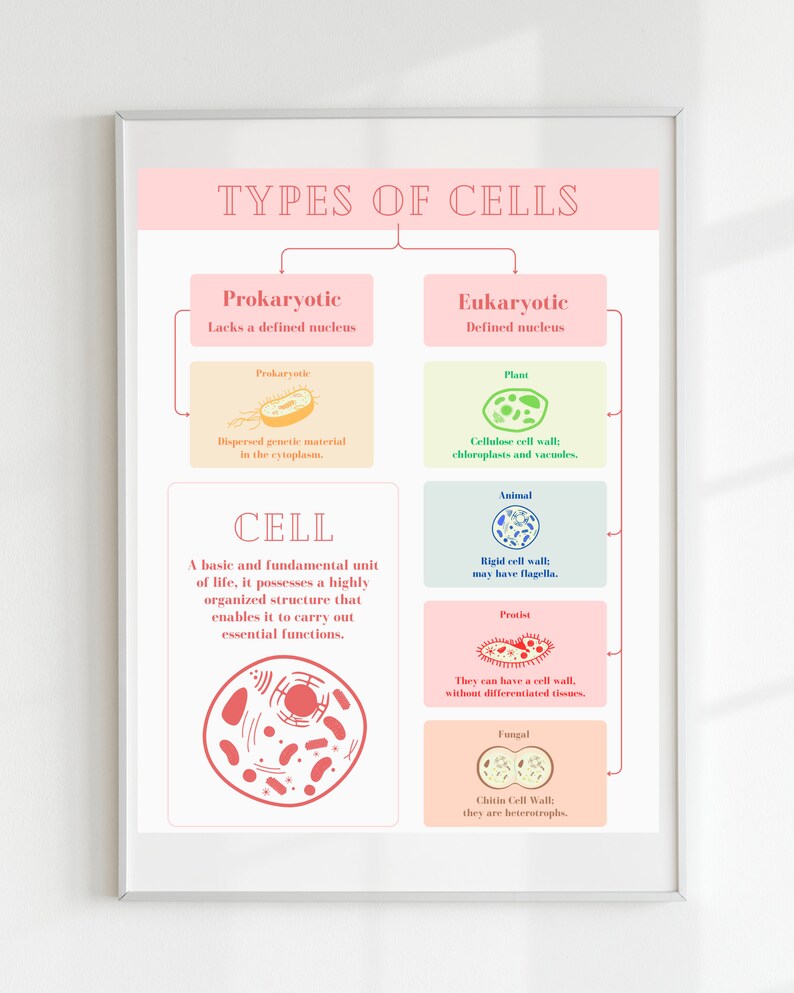 Cell Types Poster, Biology Poster, Educational Print, Montessori ...