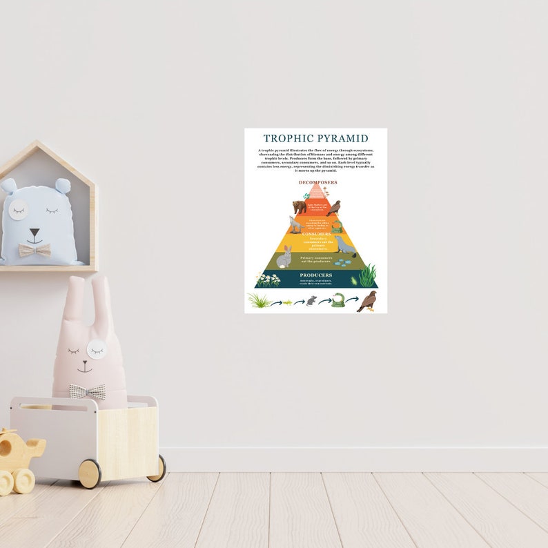 Trophic Pyramid Poster, Food Web Poster, Educational Print, Montessori ...