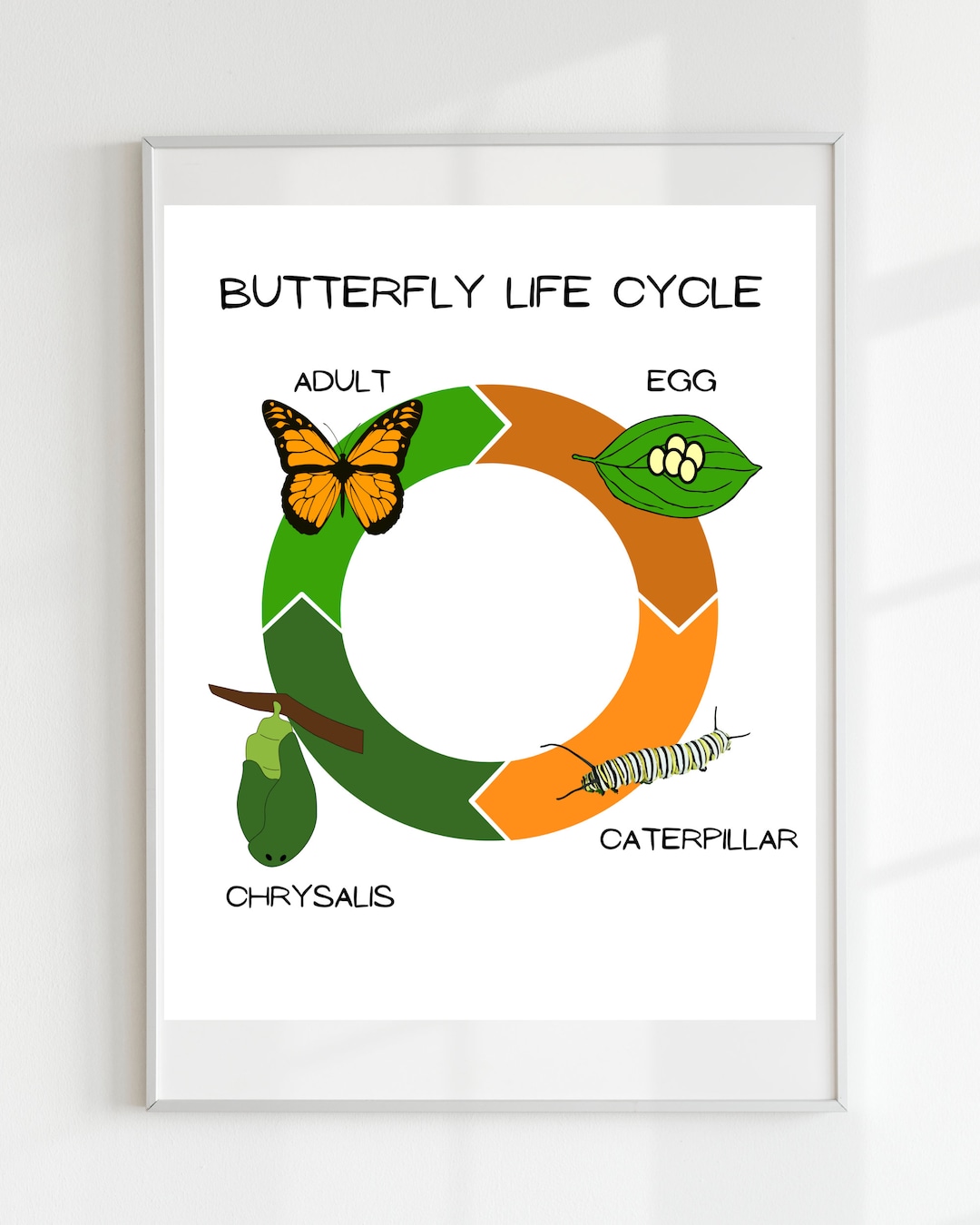 Butterfly Life Cycle Poster,educational Print, Printable Wall Art ...