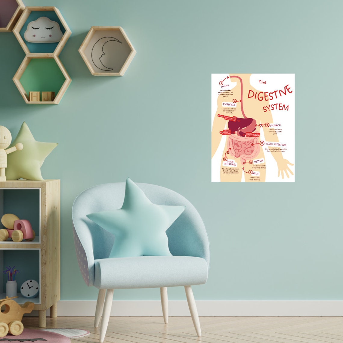 The Digestive System Poster, Anatomy Poster, Classroom Poster, Organs ...