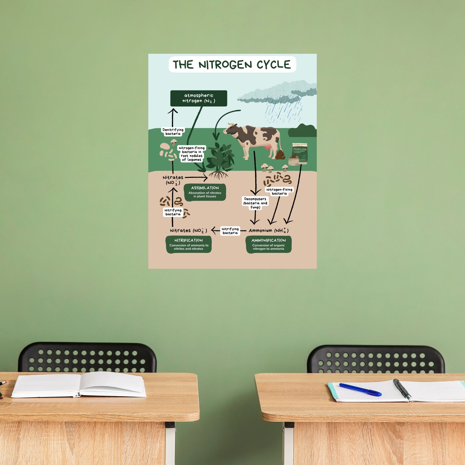 The Nitrogen Cycle Poster, Nitrogen Poster, Chemistry Poster ...