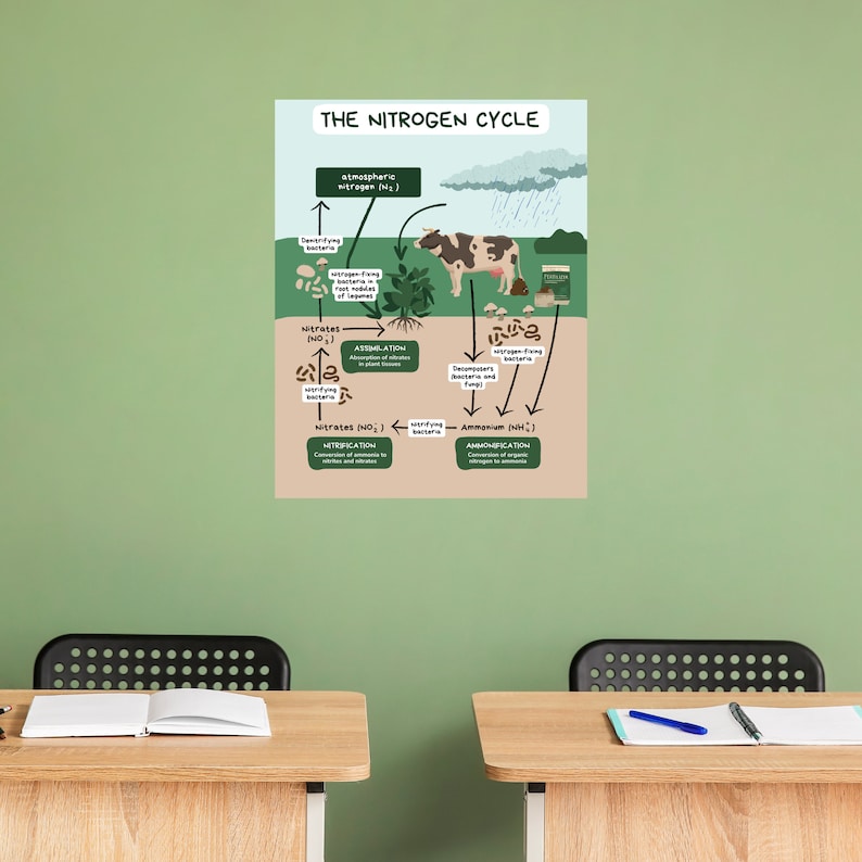 The Nitrogen Cycle Poster, Nitrogen Poster, Chemistry Poster ...