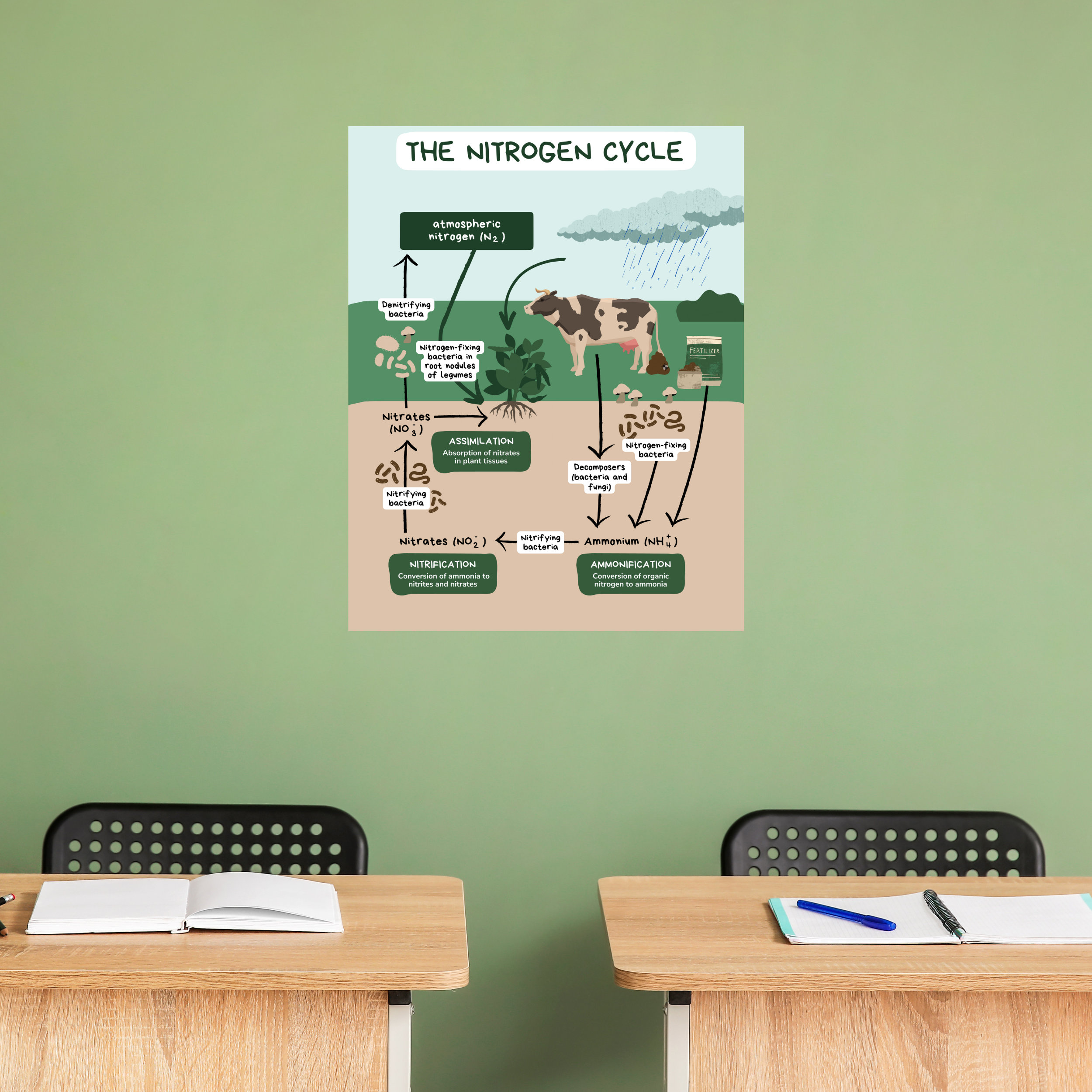 The Nitrogen Cycle Poster, Nitrogen Poster, Chemistry Poster ...