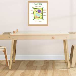 Plant Cell Poster,educational Print, Printable Wall Art, Montessori ...