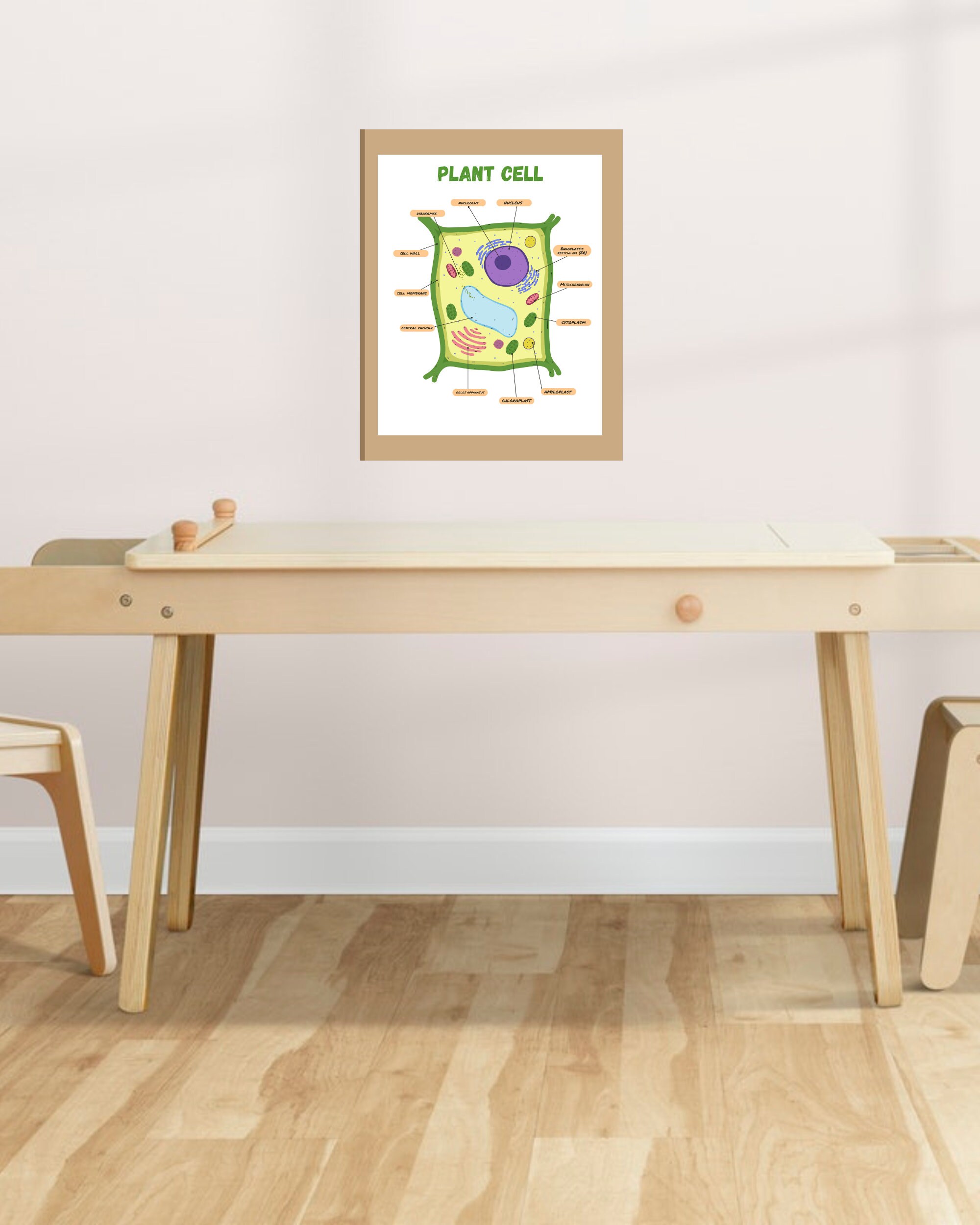 Plant Cell Poster,educational Print, Printable Wall Art, Montessori ...