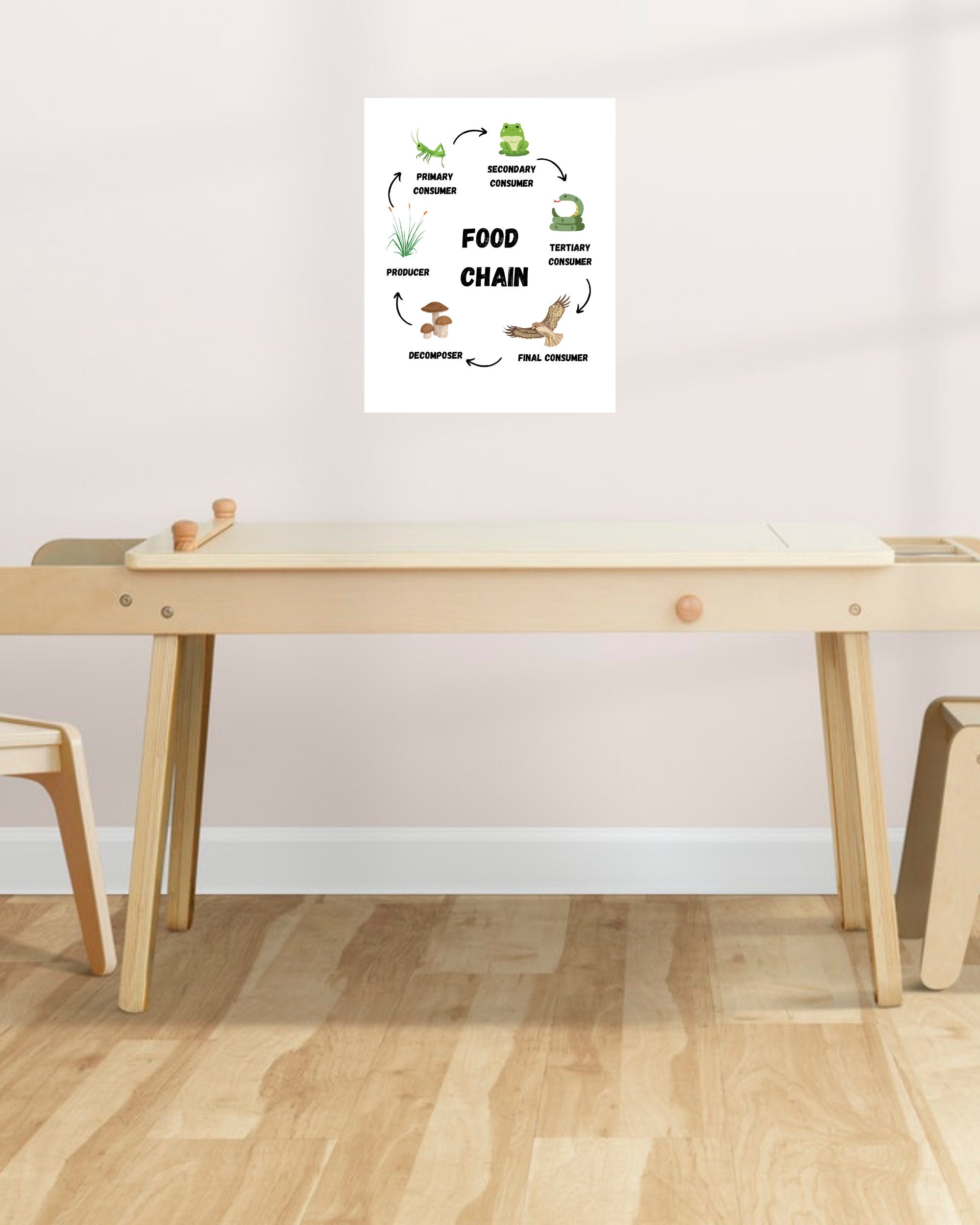 Food Chain Poster,educational Print, Classroom Poster, Anatomy Print ...