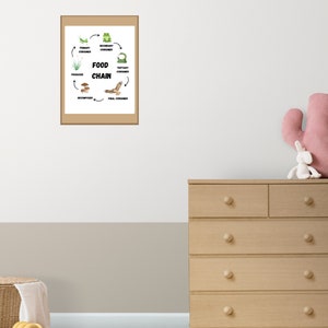 Food Chain Poster,educational Print, Classroom Poster, Anatomy Print ...
