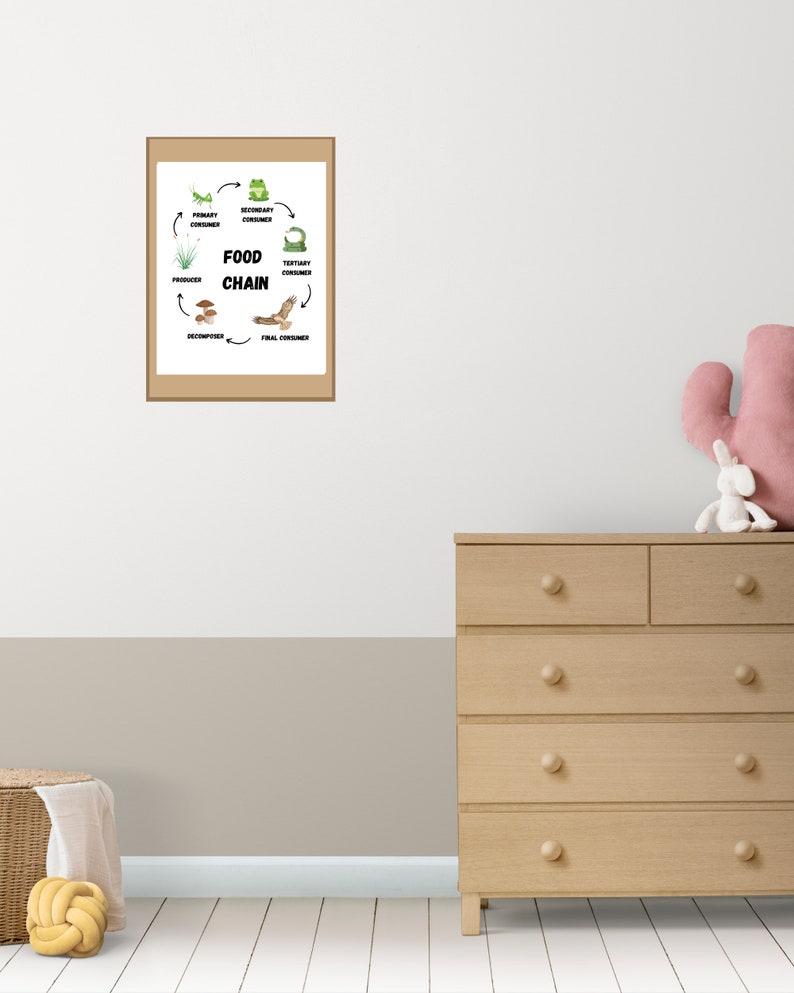 Food Chain Poster,educational Print, Classroom Poster, Anatomy Print ...