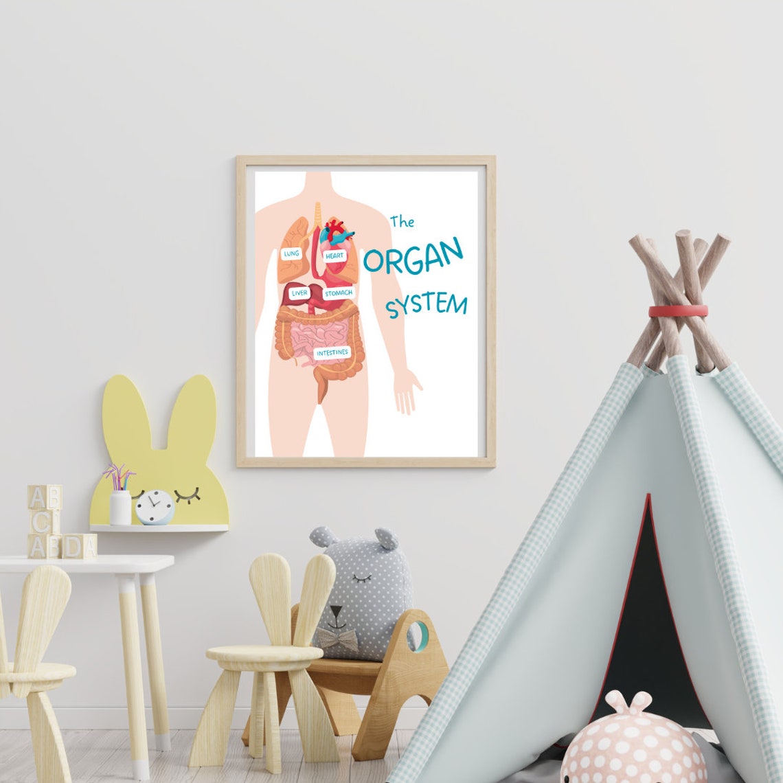 The Organ System Poster, Anatomy Poster, Classroom Poster, Organs of ...