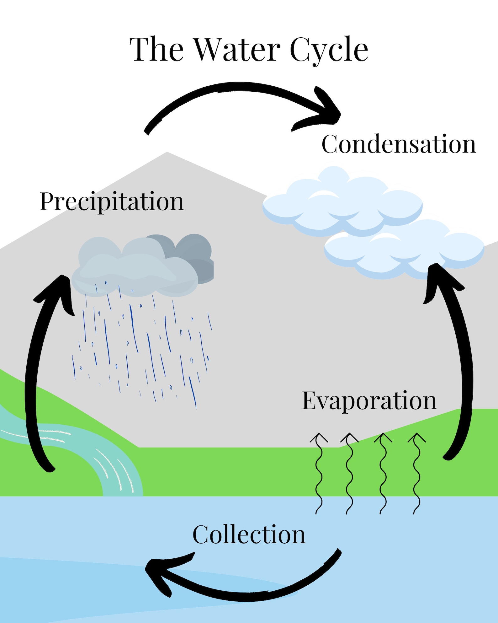 The Water Cycle Poster,educational Print, Printable Wall Art ...