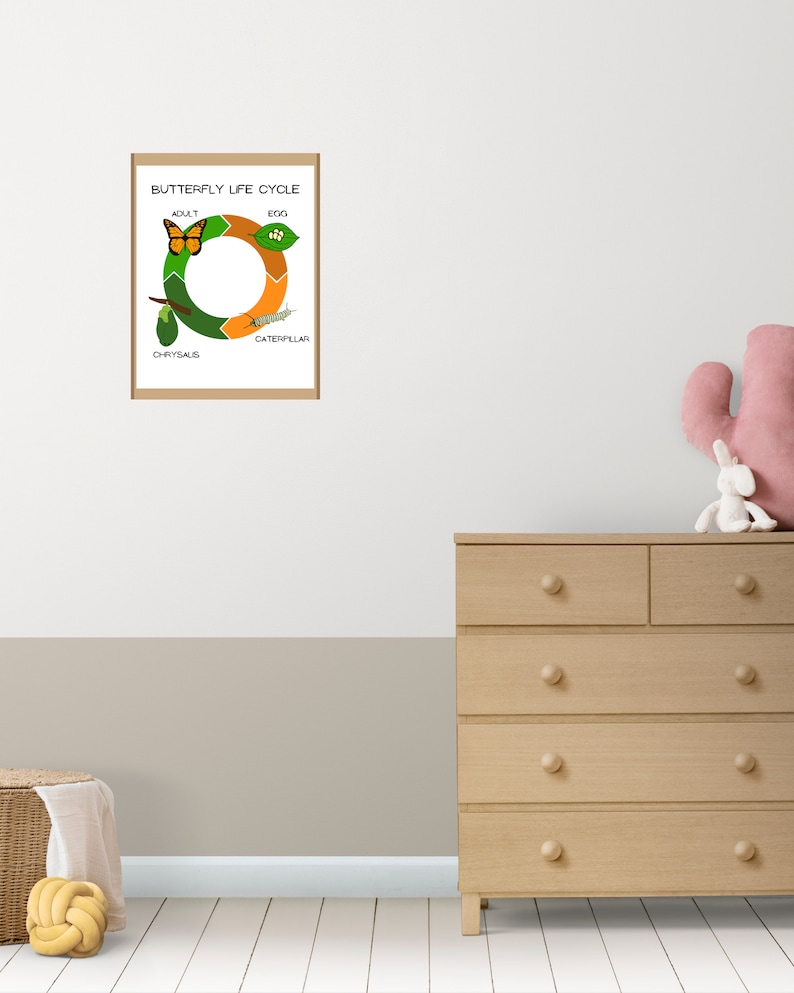 Butterfly Life Cycle Poster,educational Print, Printable Wall Art ...