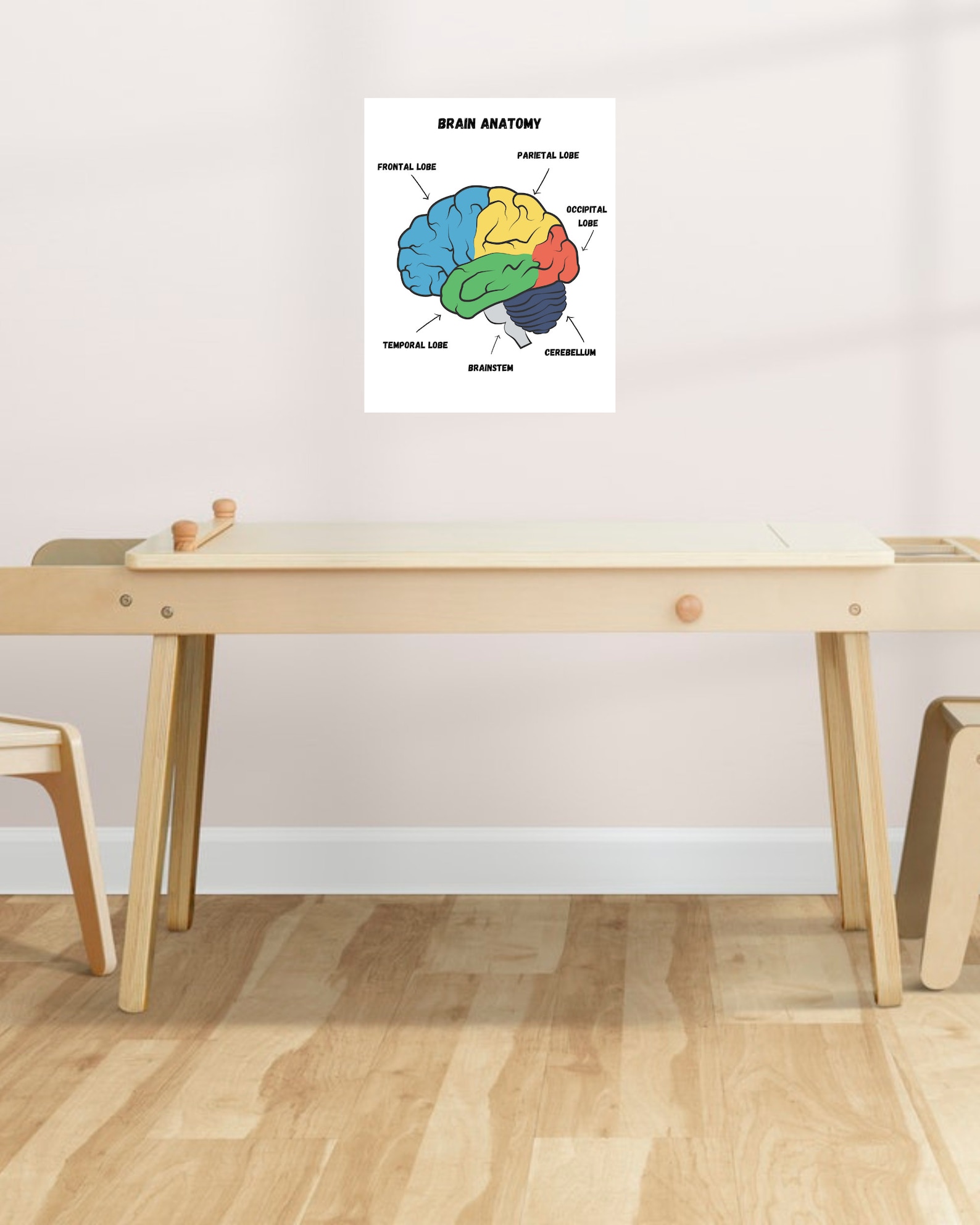 Brain Anatomy Poster,educational Print, Classroom Poster, Anatomy Print ...