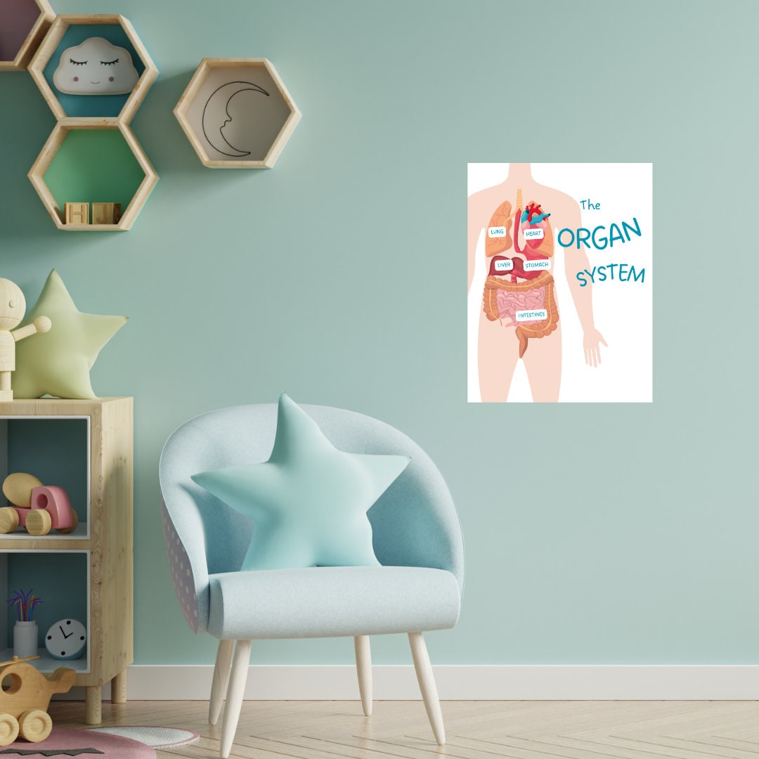 The Organ System Poster, Anatomy Poster, Classroom Poster, Organs of ...