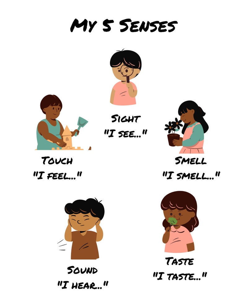 My 5 Senses Poster,educational Print, Printable Wall Art, Montessori ...