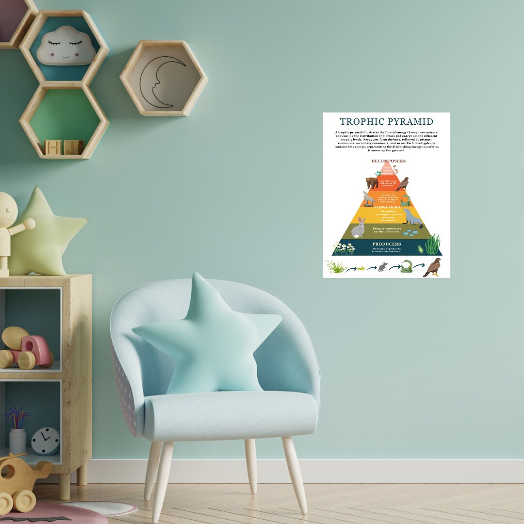 Trophic Pyramid Poster, Food Web Poster, Educational Print, Montessori ...