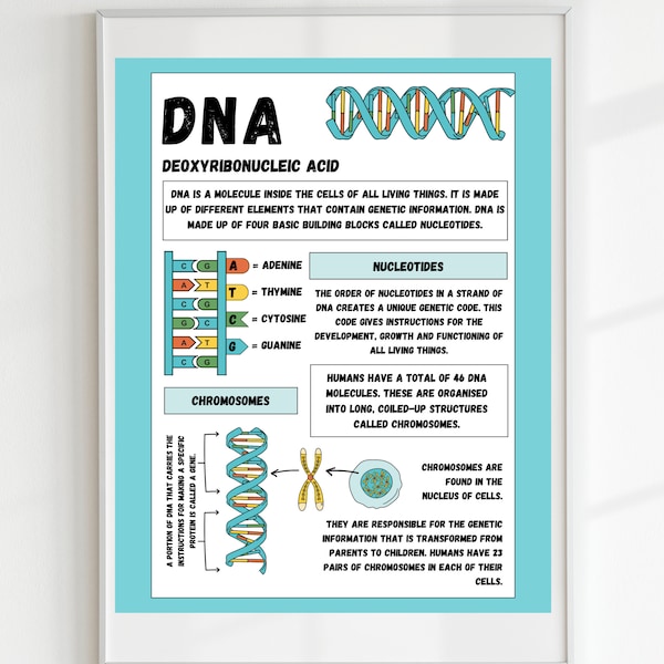 Dna - Etsy
