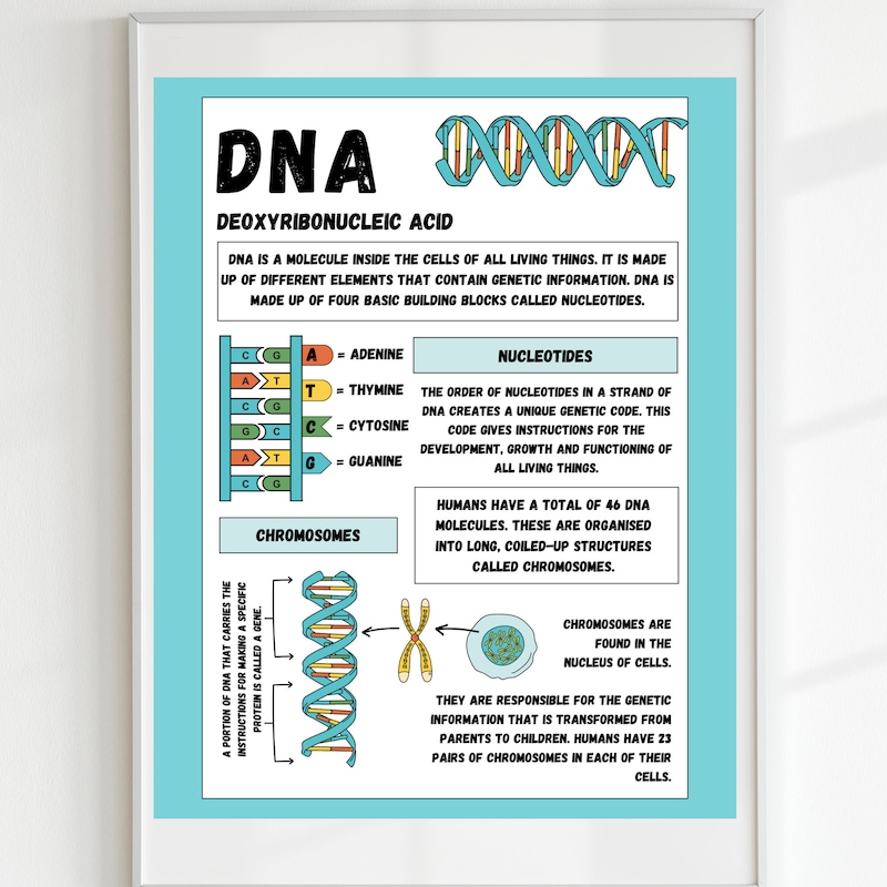 Biology Poster - Etsy