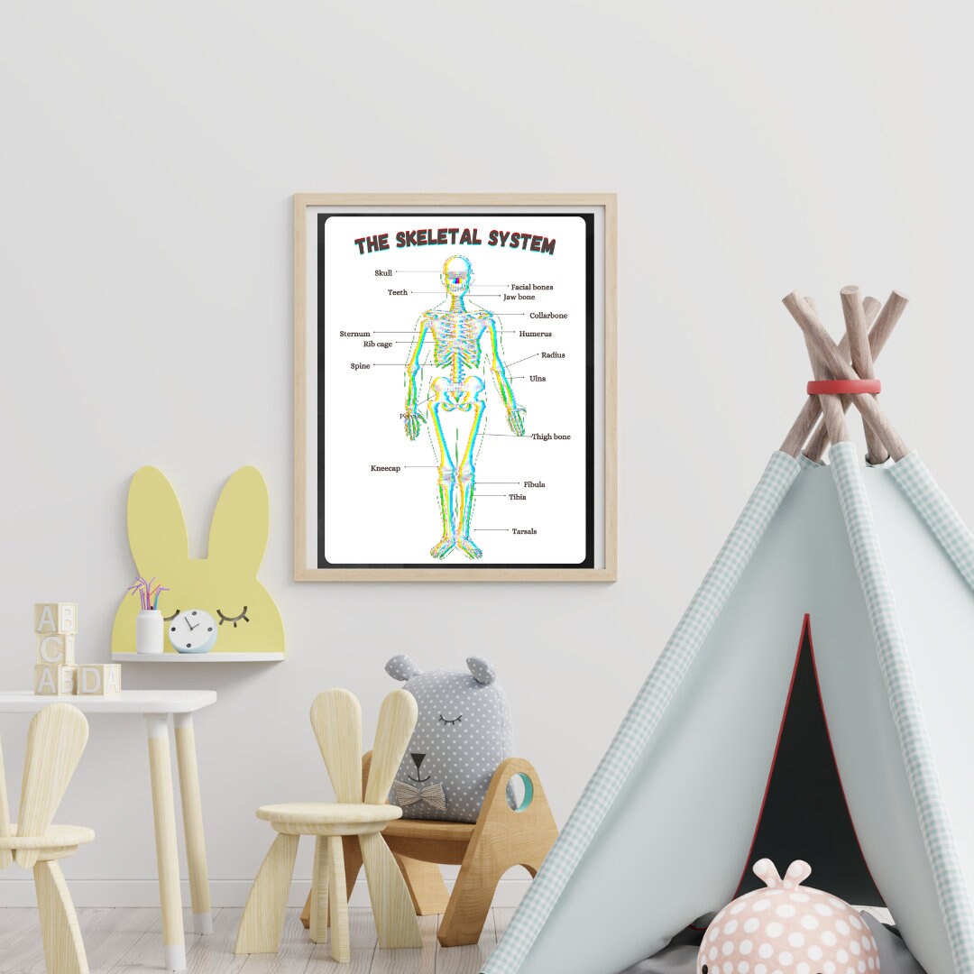 The Skeletal System Poster, Anatomy Poster, Educational Print ...