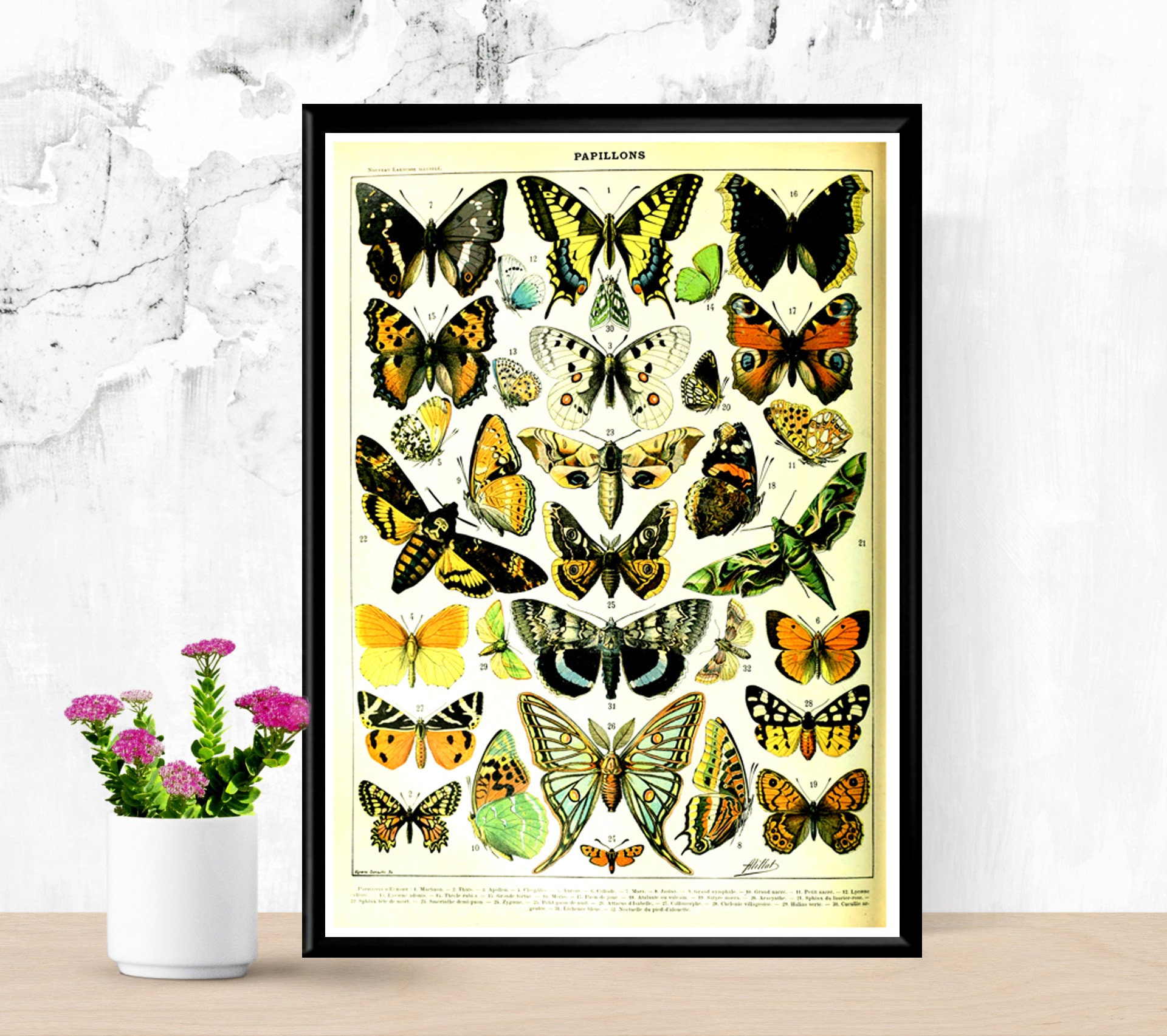 Vintage Butterflies Posters Set of 2 Butterflies Prints By | Etsy