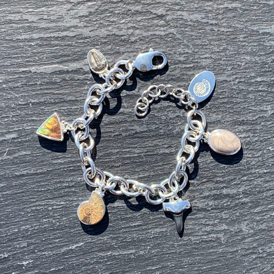 World Fossils Bracelet, Fossil Silver Charm Bracelet, Handmade in 925 ...