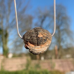 Devonian 3D Enrolled Trilobite Pendant With White Metal Chain ...