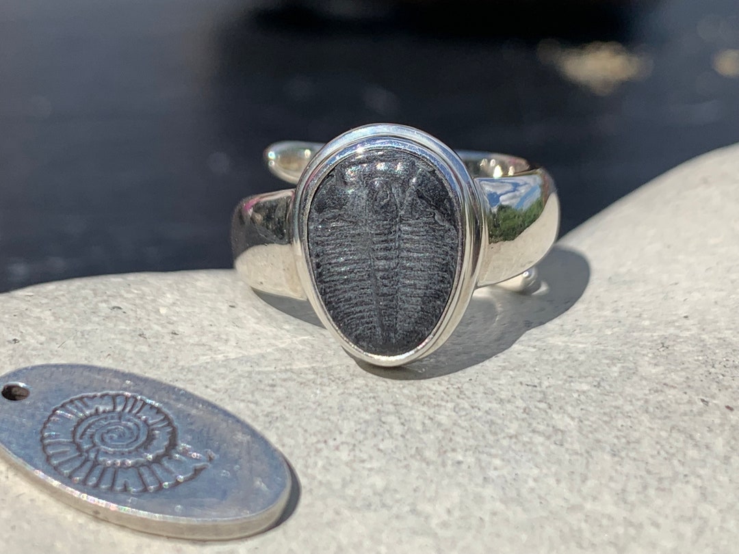 Trilobite Ring, Elrathia Kingii Ring, Trilobite Fossil Ring, Handmade ...