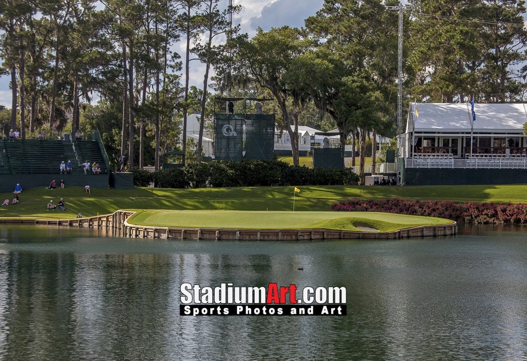 Sawgrass TPC Golf Hole 17 Tournament Players Club 8x10-48x36 Photo ...