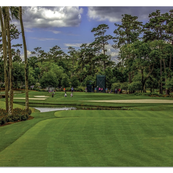 Augusta National Golf Club Hole 13 Azalea Amen Corner Oil Painting ...