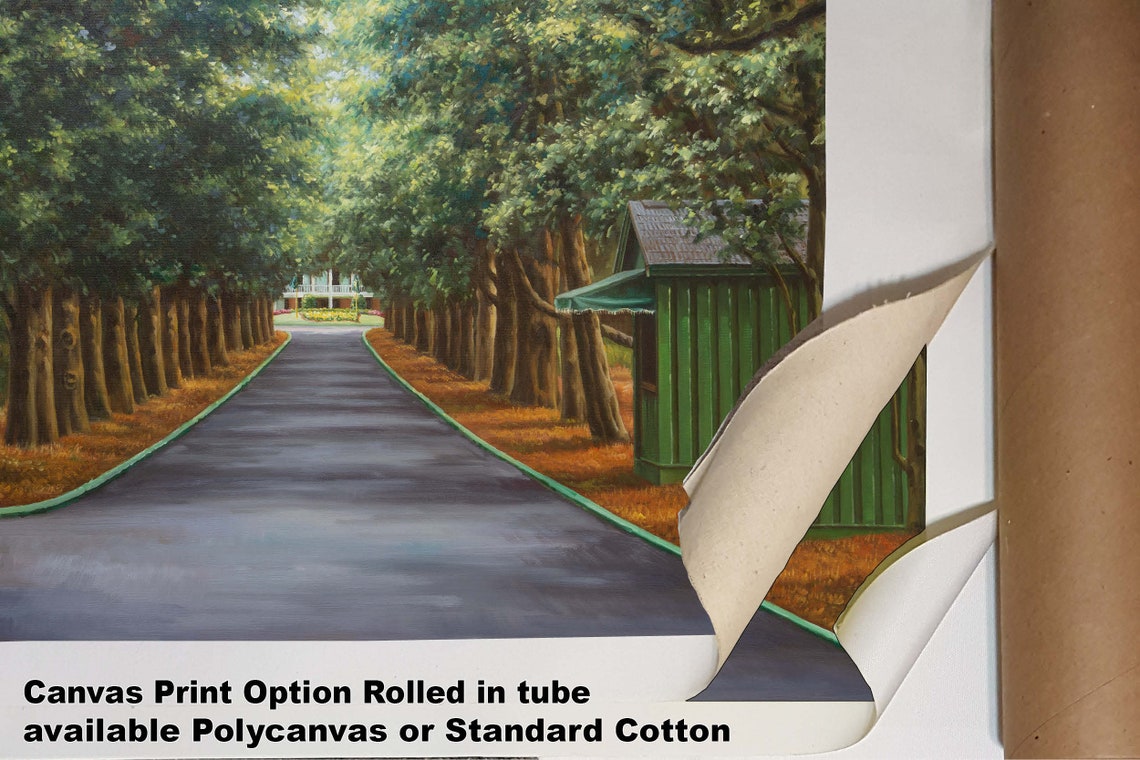 Augusta National Golf Club Course Magnolia Lane Masters PGA 1rioil 8x10 ...