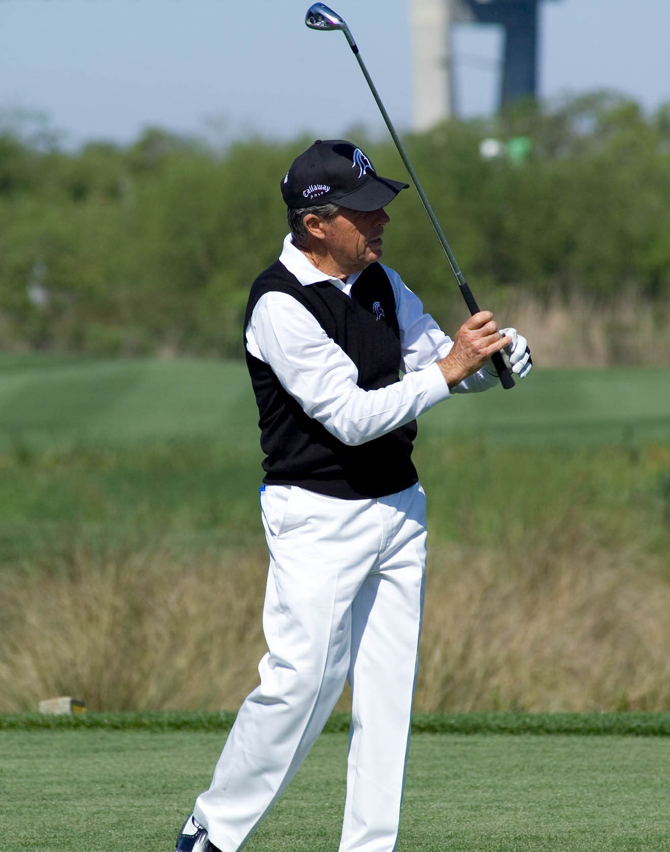 Gary Player PGA Professional Pro Golfer Golf 8x10-30x40 Photo Print ...