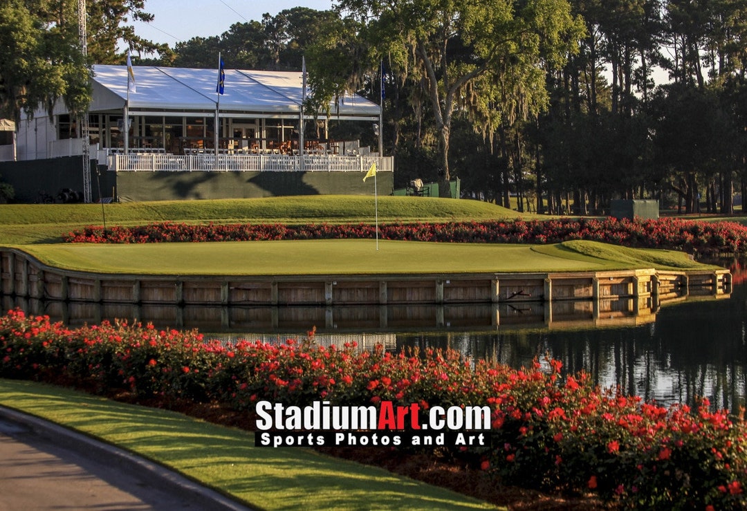 Sawgrass TPC Golf Hole 17 Tournament Players Club 8x10-48x36 Photo ...