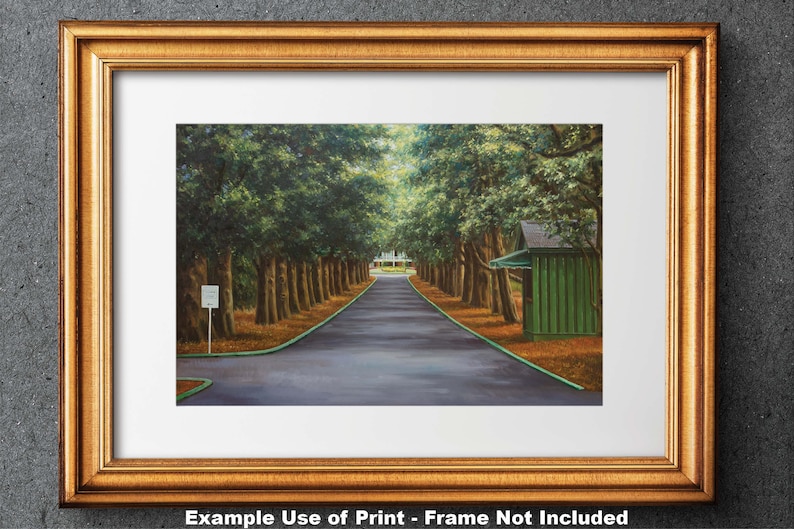 Augusta National Golf Club Course Magnolia Lane Masters PGA 1rioil 8x10 ...
