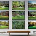 Augusta National Golf Club Amen Corner Azalea Hole 13 PGA Golf Ri2 8x10 ...
