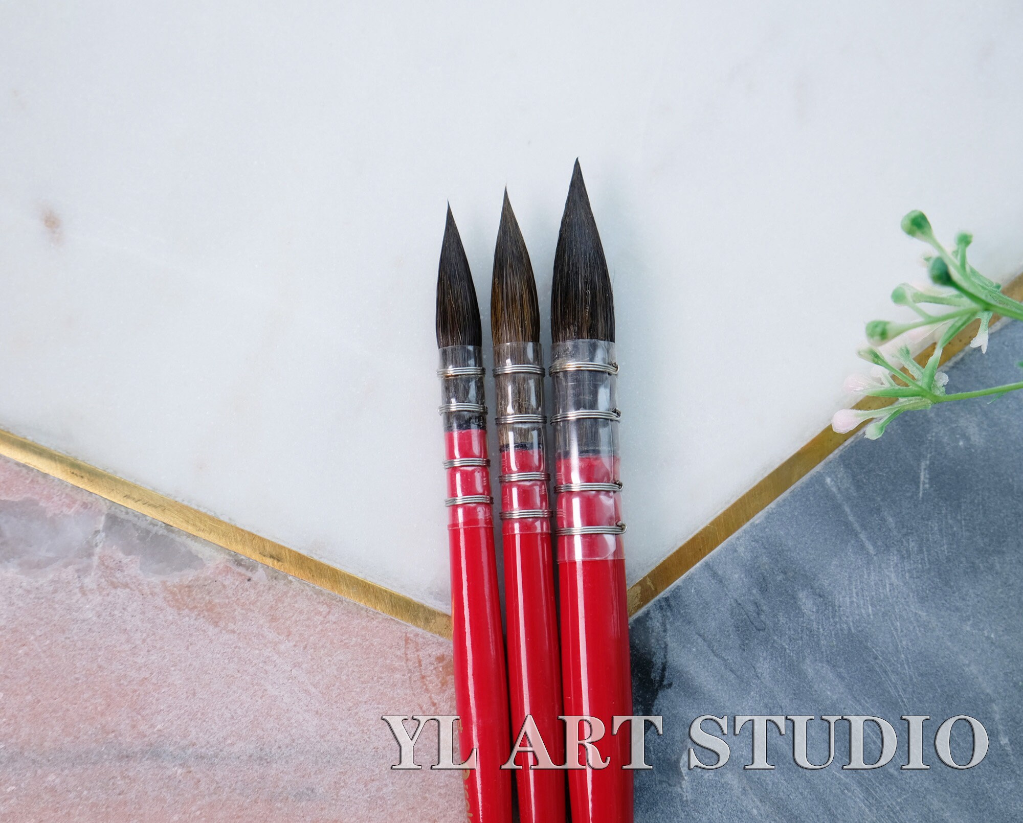 Watercolor SQUIRREL Brush Red Brush - Etsy Canada