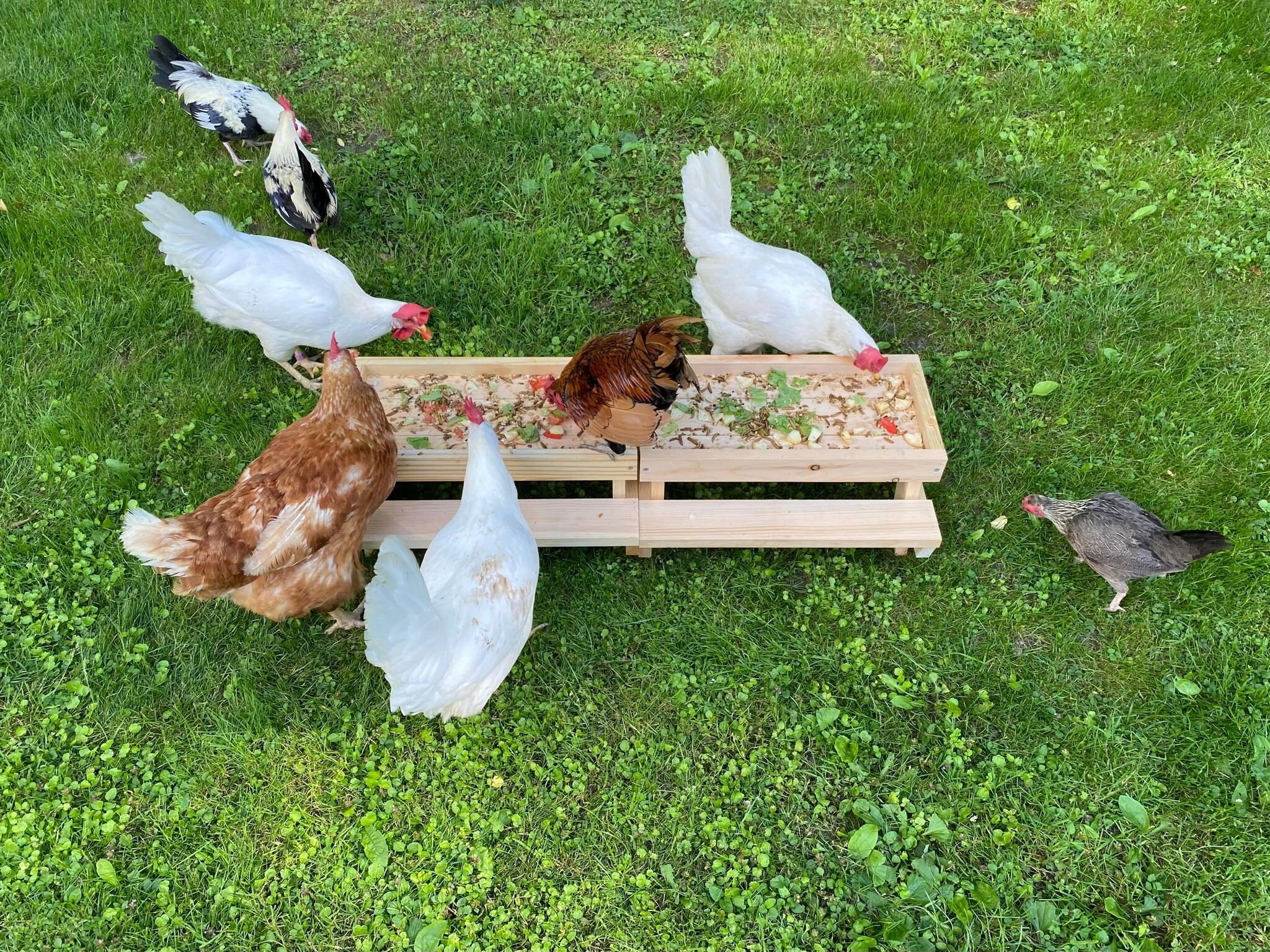 Chick-a-nic Table Made From Solid Wood - Etsy