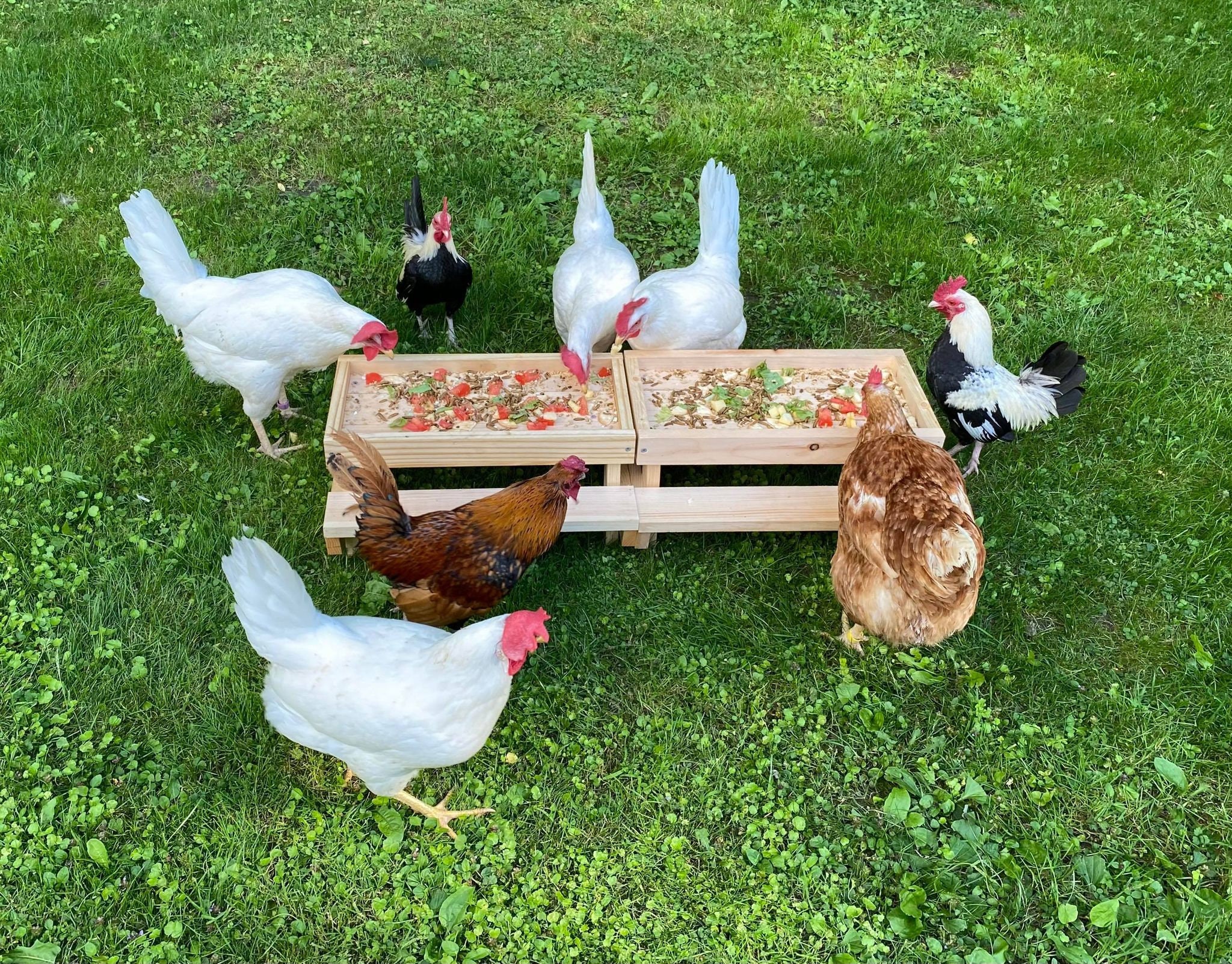 Chick-a-nic Table Made From Solid Wood - Etsy