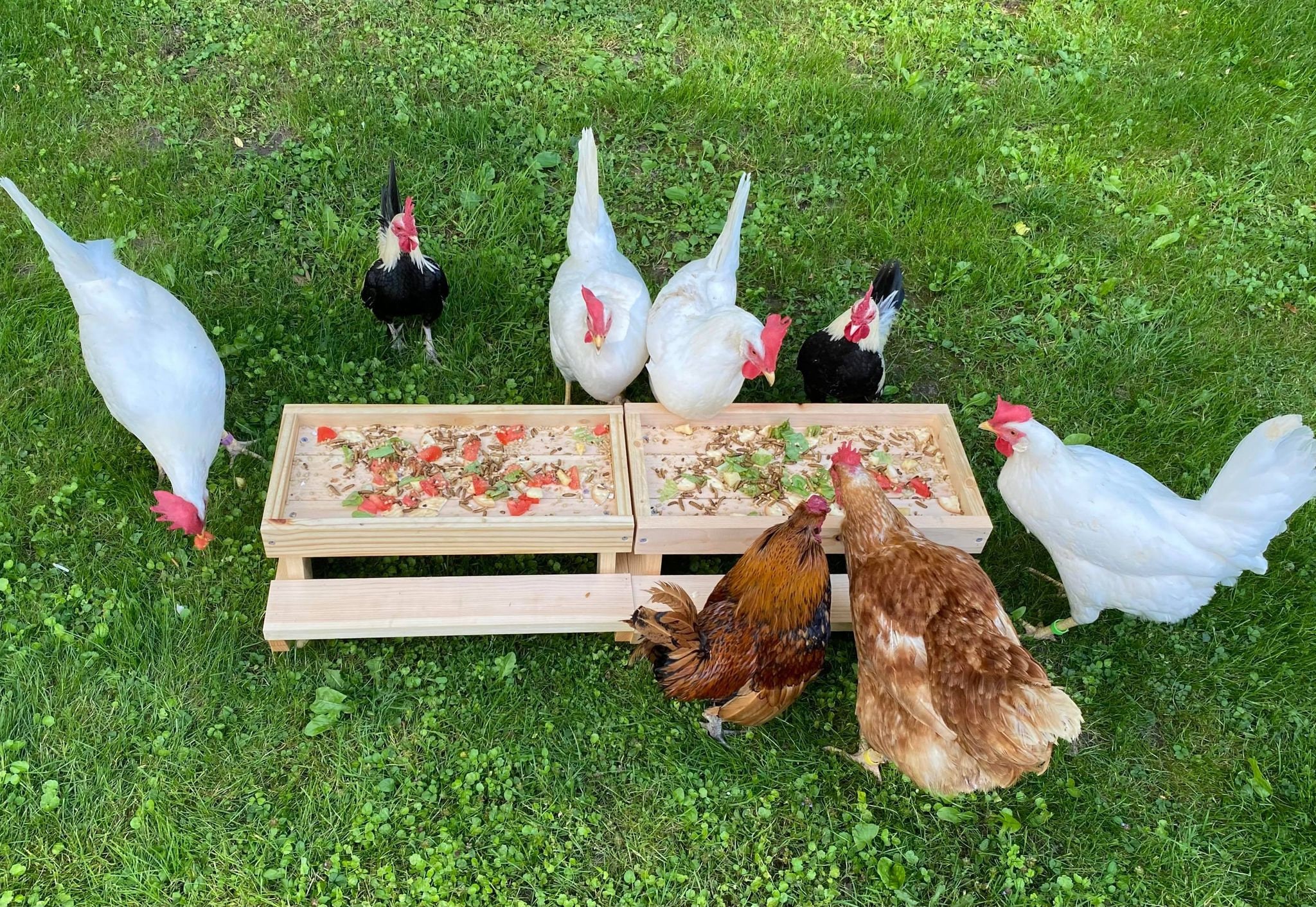 Chick-a-nic Table Made From Solid Wood - Etsy