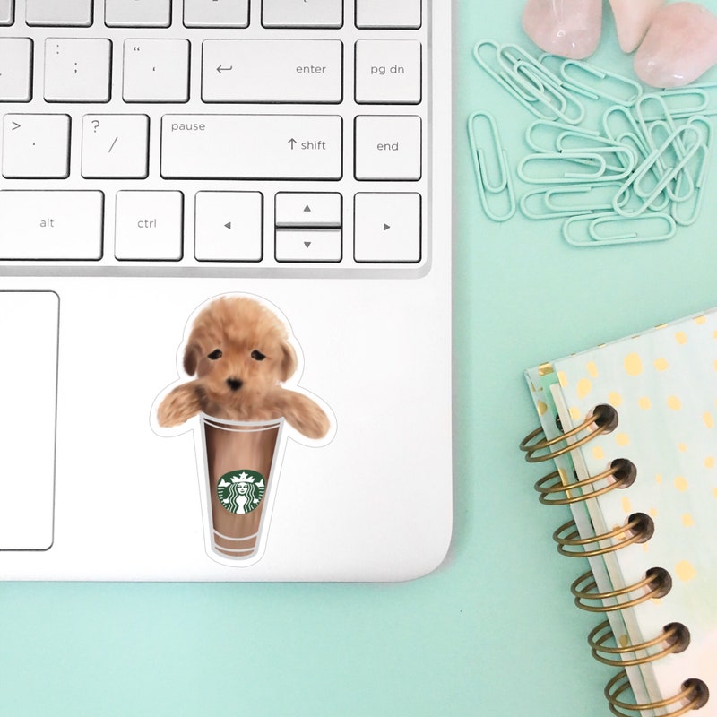 Starbucks Stickers - Etsy