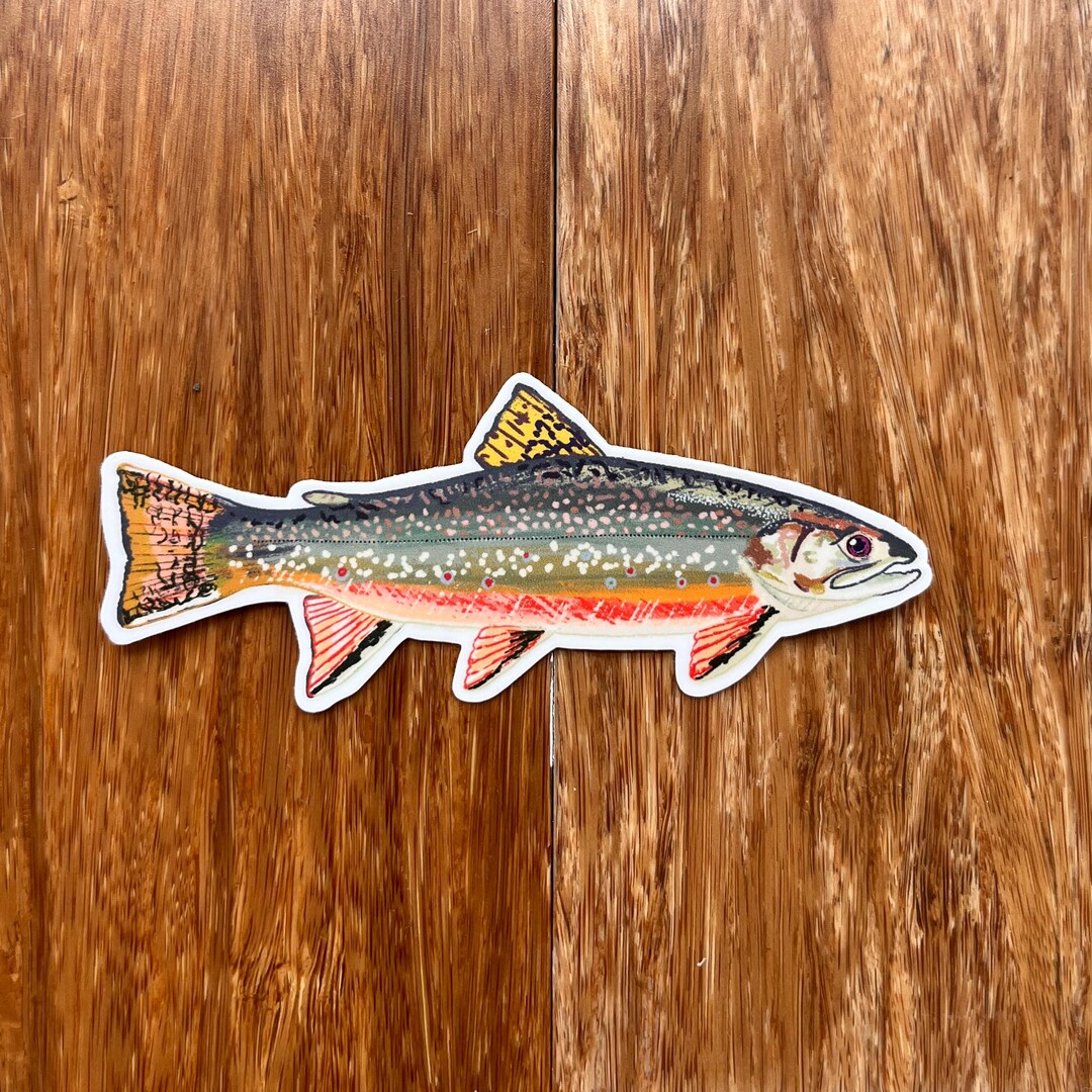 Brook Trout Sticker - Fish Sticker, Vinyl Sticker, Fishing Laptop ...