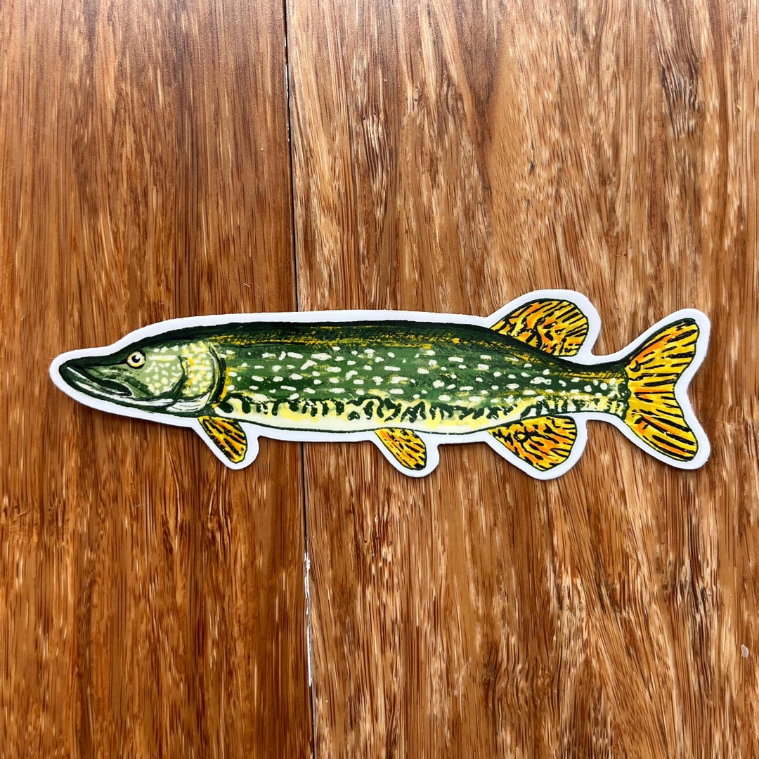Northern Pike Sticker - Fish Sticker, Vinyl Sticker, Fishing Laptop ...