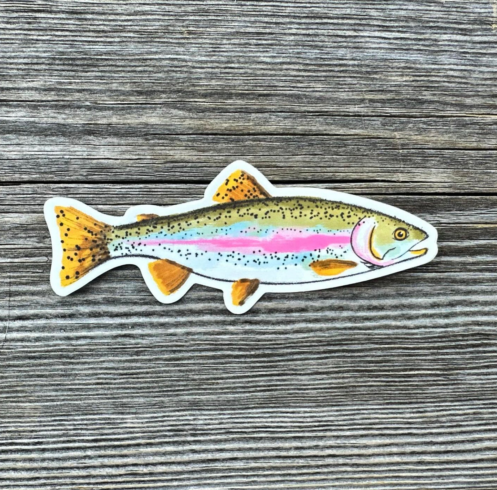 RAINBOW TROUT Sticker Pacific Northwest / British Columbia Travel ...