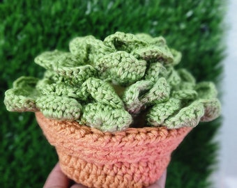 Succulent Crochet Coaster PDF Pattern - Etsy