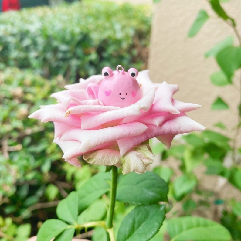 Pink Strawberry Cow/ Frog - Etsy