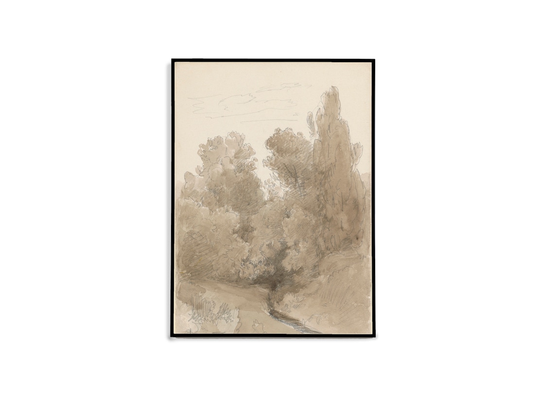 HAZEL TREES Vintage Tree Sketch Digital Download - Etsy