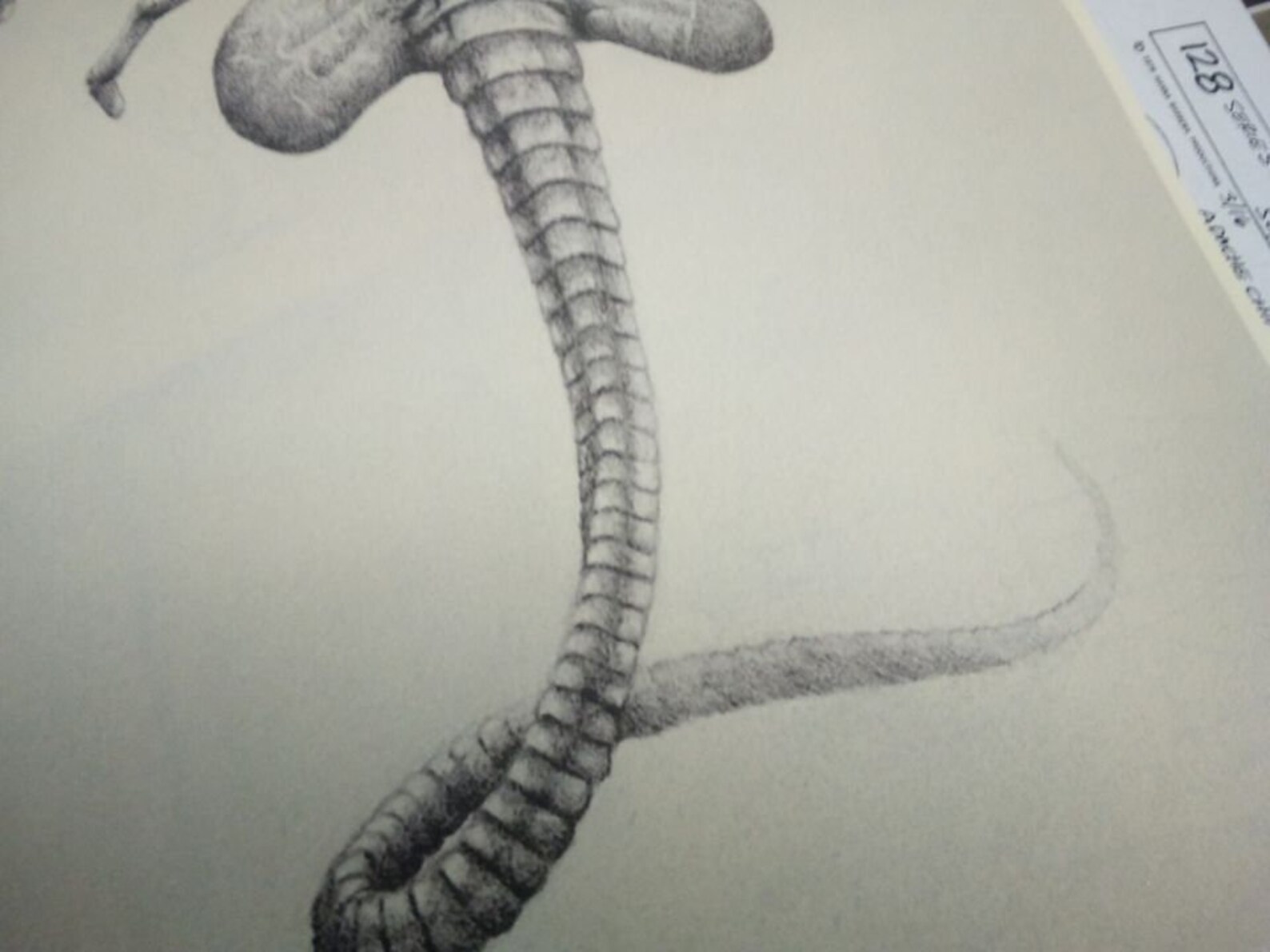 Alien Facehugger Animation Print Poster Sci-fi Horror Aliens | Etsy