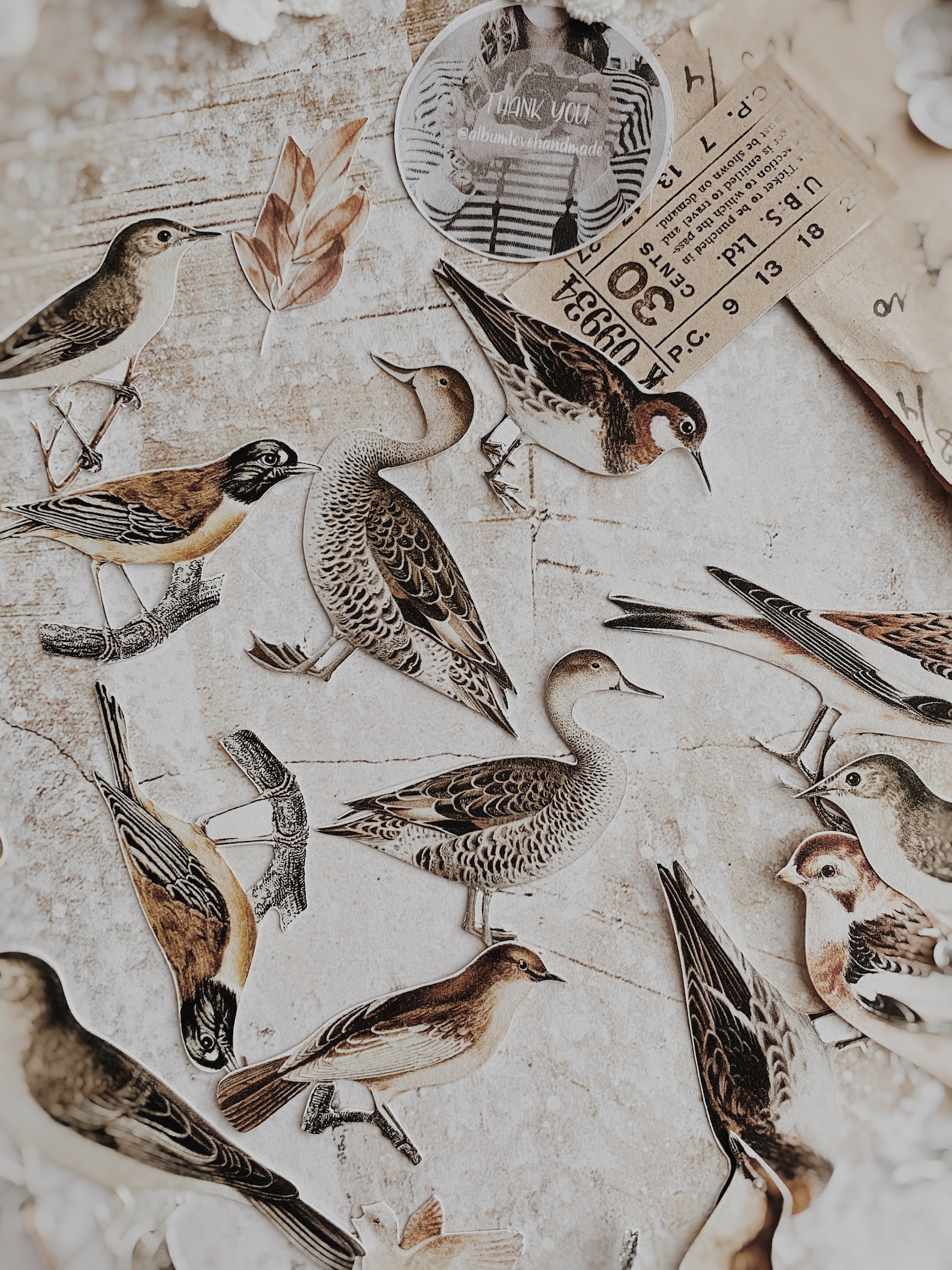 Printable A4 8.5x11 Birds Digital Instant Download | Etsy