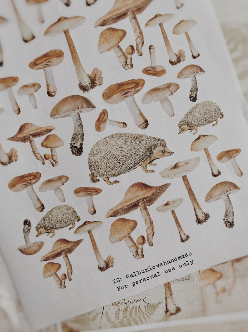 Printable A4 8.5x11 Mushrooms Forest Theme Digital - Etsy