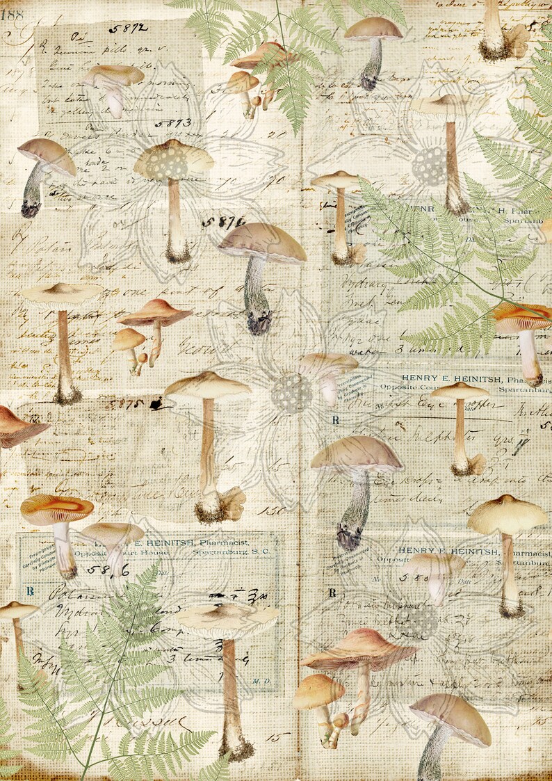 Printable A4 8.5x11 Mushrooms Forest Theme Digital - Etsy