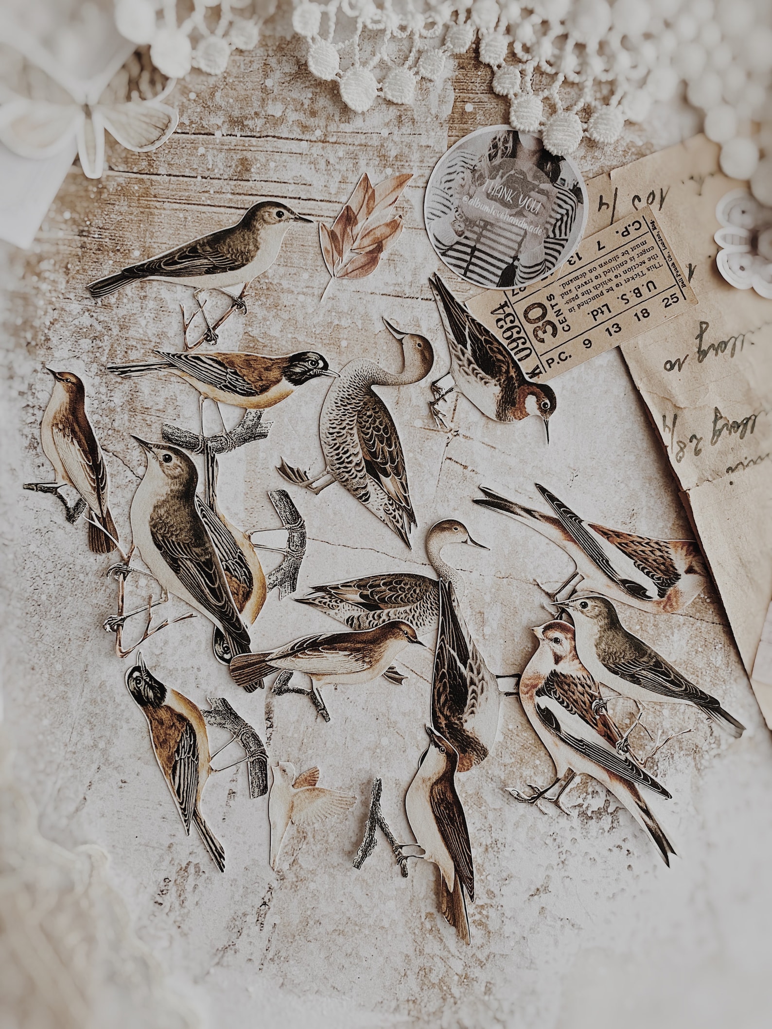 Printable A4 8.5x11 Birds Digital Instant Download | Etsy